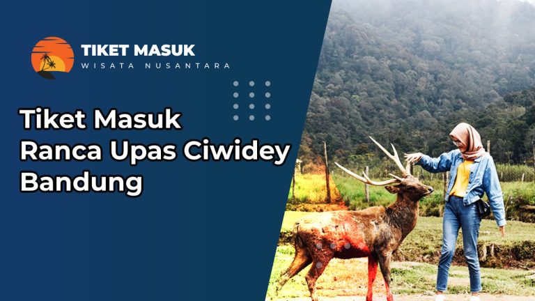 Tiket Masuk Ranca Upas Ciwidey Bandung, Wisata Alam yang Sejuk ...
