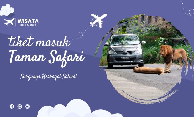 Tiket Masuk Taman Safari Indonesia Bogor, Surganya Berbagai Satwa! - Fqsinternational